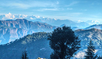 Abbott Mount Cottage | Uttarakhand Heritage Home Stay